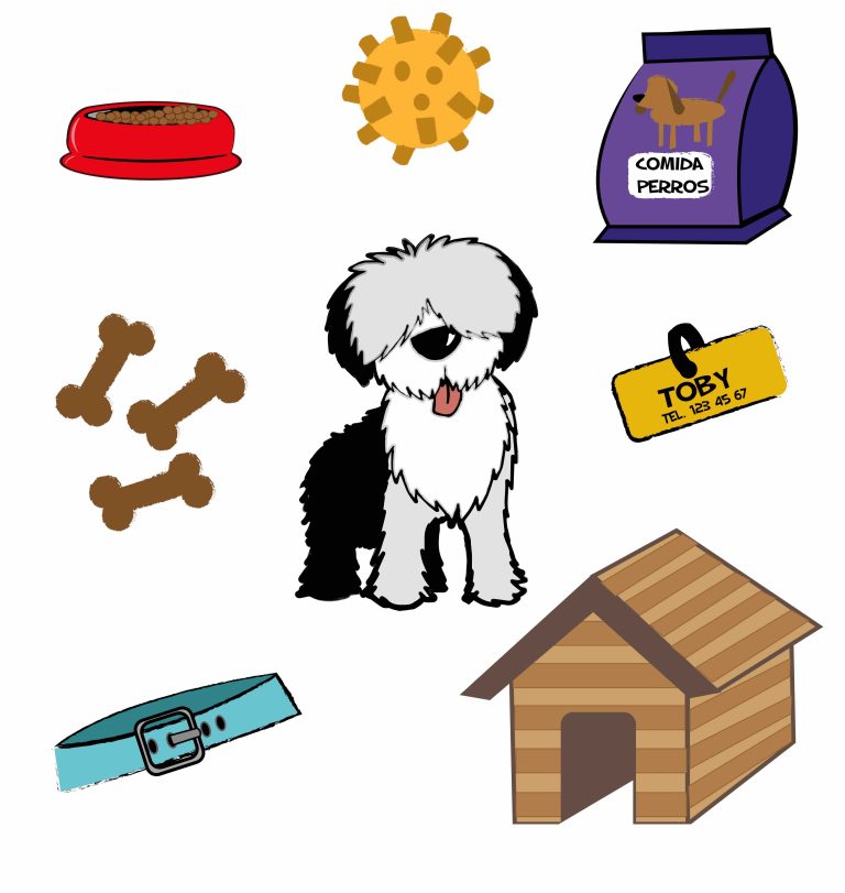 Niñas y niños: Cuidados de un perra o perro - Adopta.mx